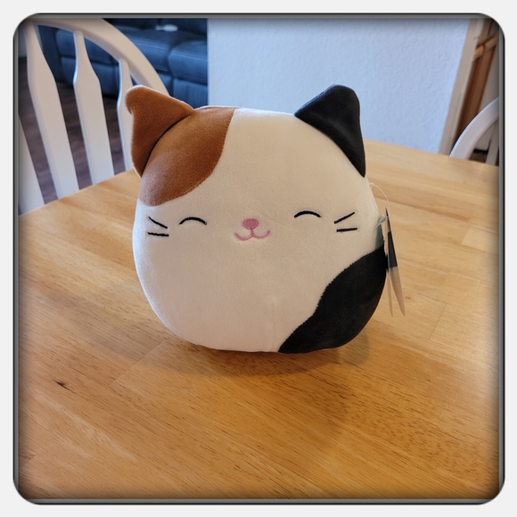 Squishmallows | Toys | Nwt Cam The Cat Squishmallow Stuffed Animal ...